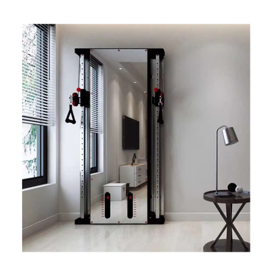 WALL FUNCTIONAL TRAINER - The Fitness Joint