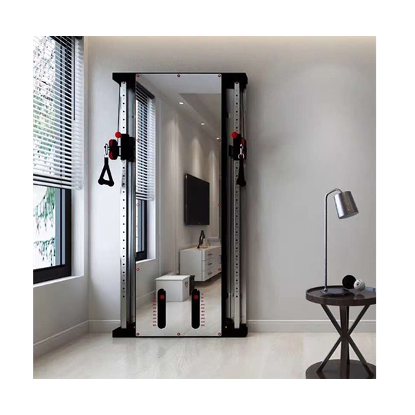 WALL FUNCTIONAL TRAINER - The Fitness Joint